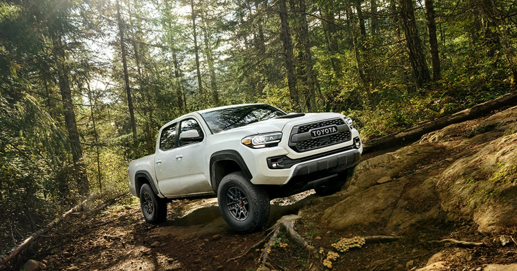 Genuine Toyota Cargo Privacy Cover Rav4/Hybrid 19-24 64910-0R050-C0 ...